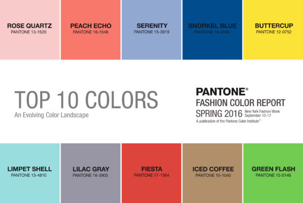 Why does Pantone Exists? • Online Logo Maker's Blog